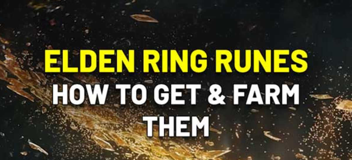 Elden Ring Stats Build