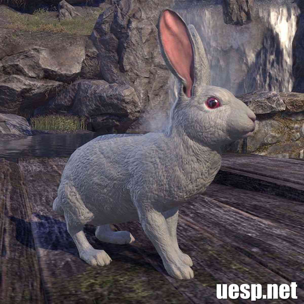 ESO Events 2022: New Life Festival Event Guide | MmoGah: The Most ...