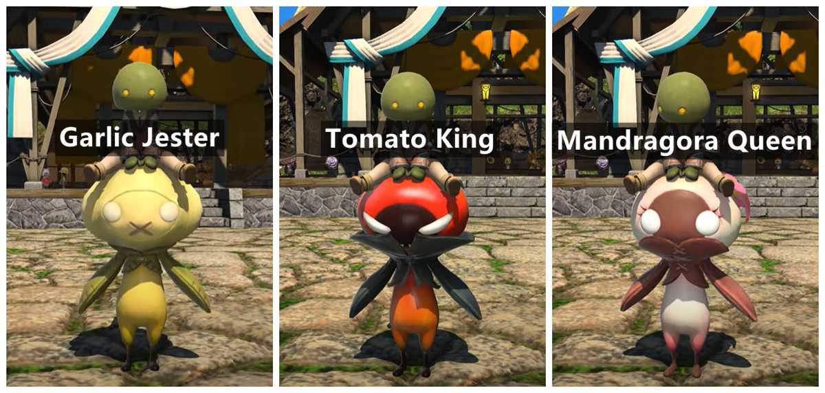 Final Fantasy XIV Patch 6.4 Guides of Island Sanctuary